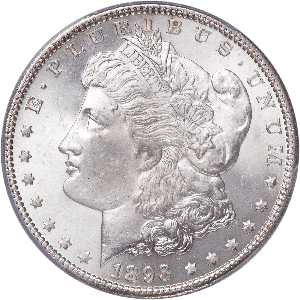 1893 Morgan Silver Dollar | Littleton Coin Company