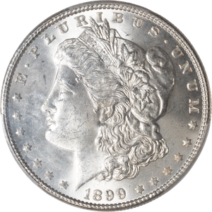 1899 Morgan Silver Dollar | Littleton Coin Company