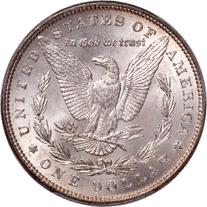 1899 Morgan Silver Dollar | Littleton Coin Company
