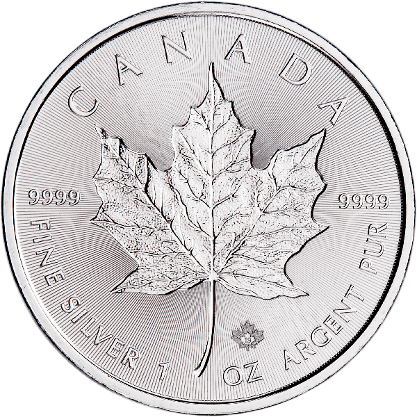 Silver Maple Leaf Drawing